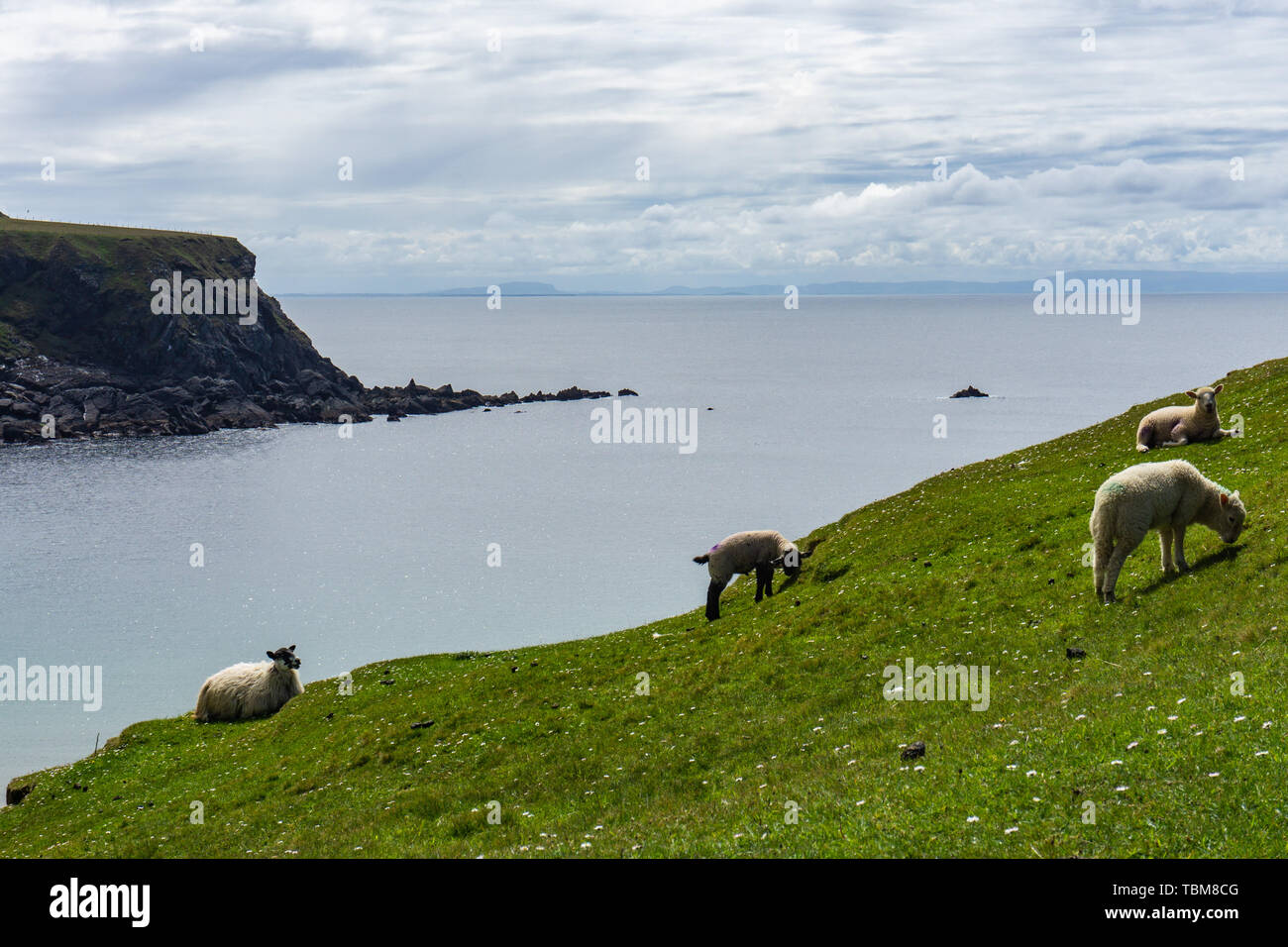 ocean cliffs in northern ireland Stock Photo - Alamy