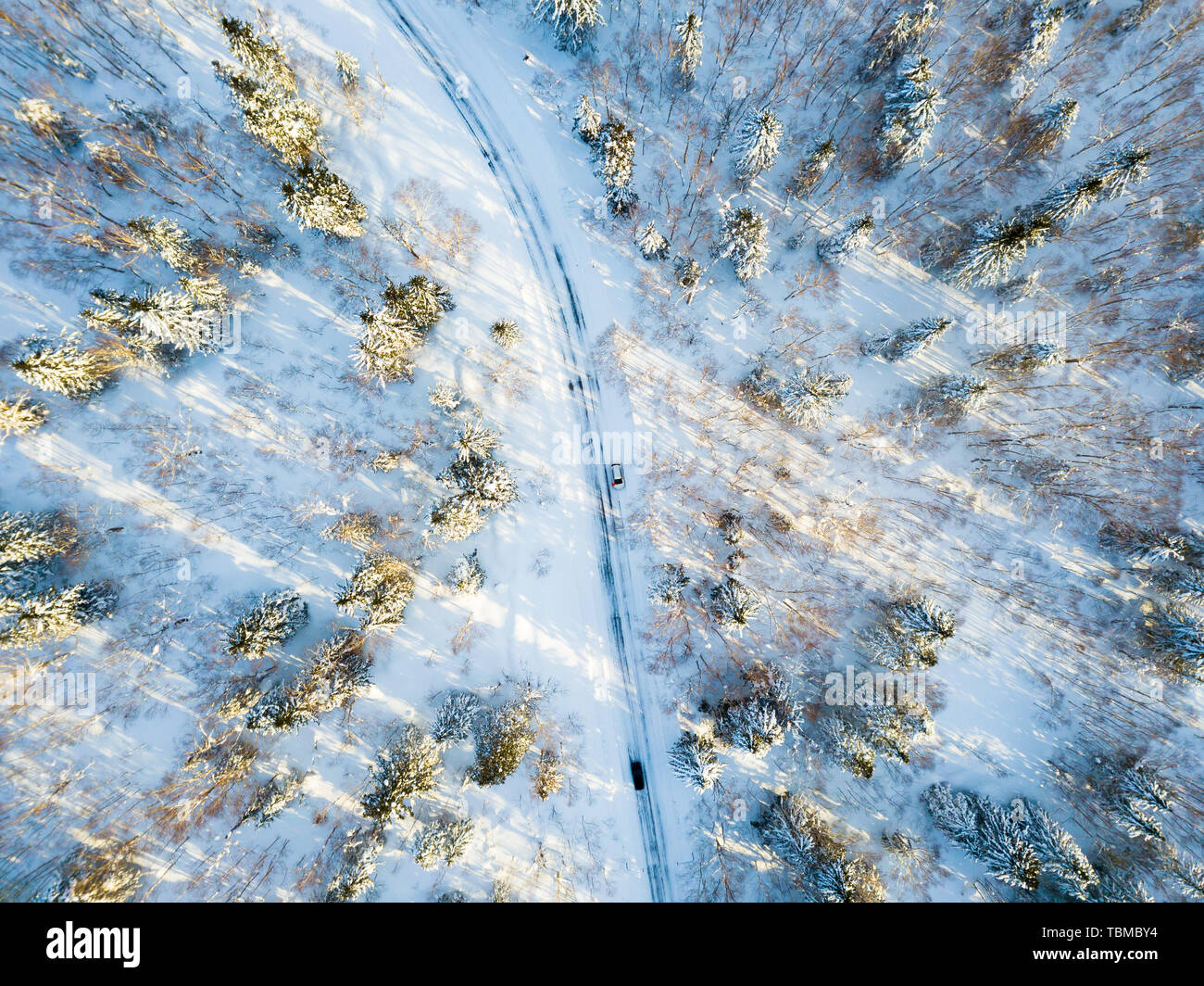 Big Snow Mountain Forest Lane Stock Photo - Alamy