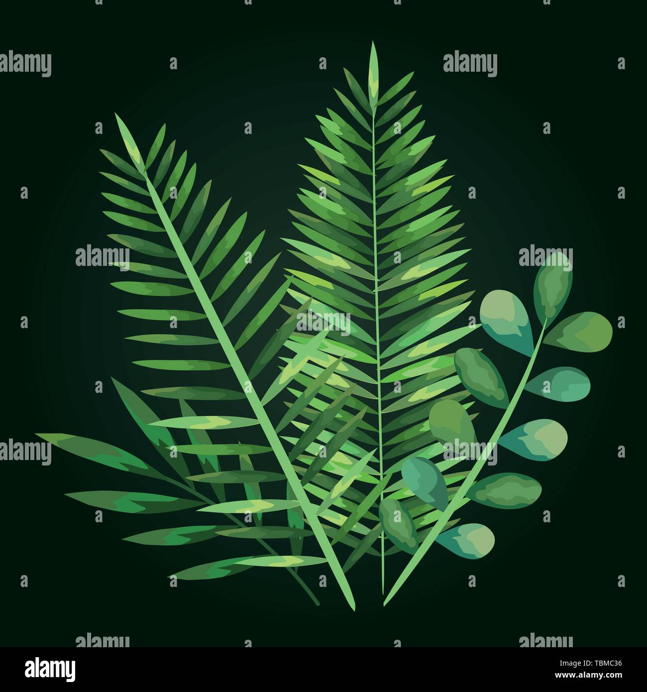 exotic plants with nature leaves design Stock Vector Image & Art - Alamy