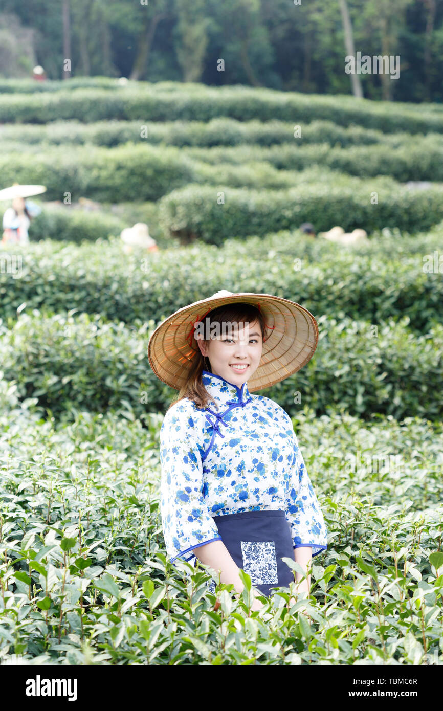 Asian pretty tea - amazing girl in photography Stock Photo - Alamy
