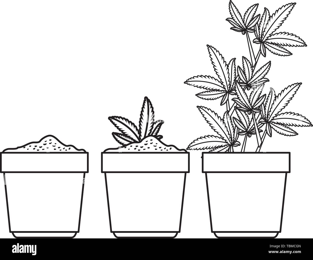 Unusual garden plants Stock Vector Images - Alamy