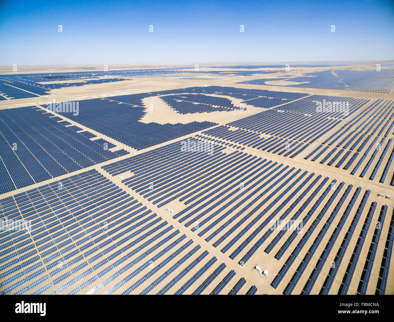 Plant field guide hi-res stock photography and images - Alamy