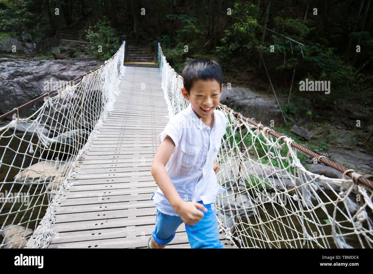 Human trees outdoor tourism for children hi-res stock photography and ...