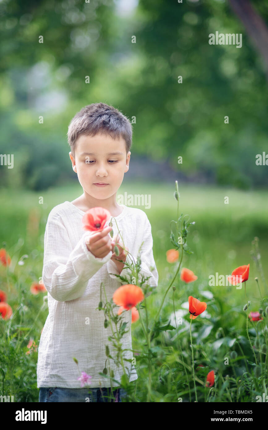Happy little smiling boy standing and smiling in poppy field. portrait ...