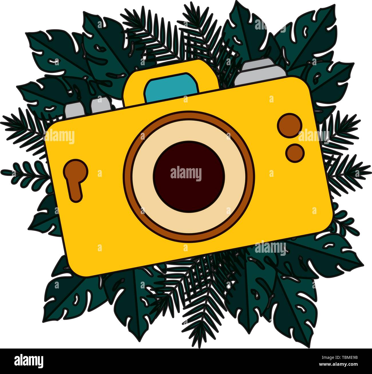 summer camera photographic and tropical leafs frame Stock Vector Image ...