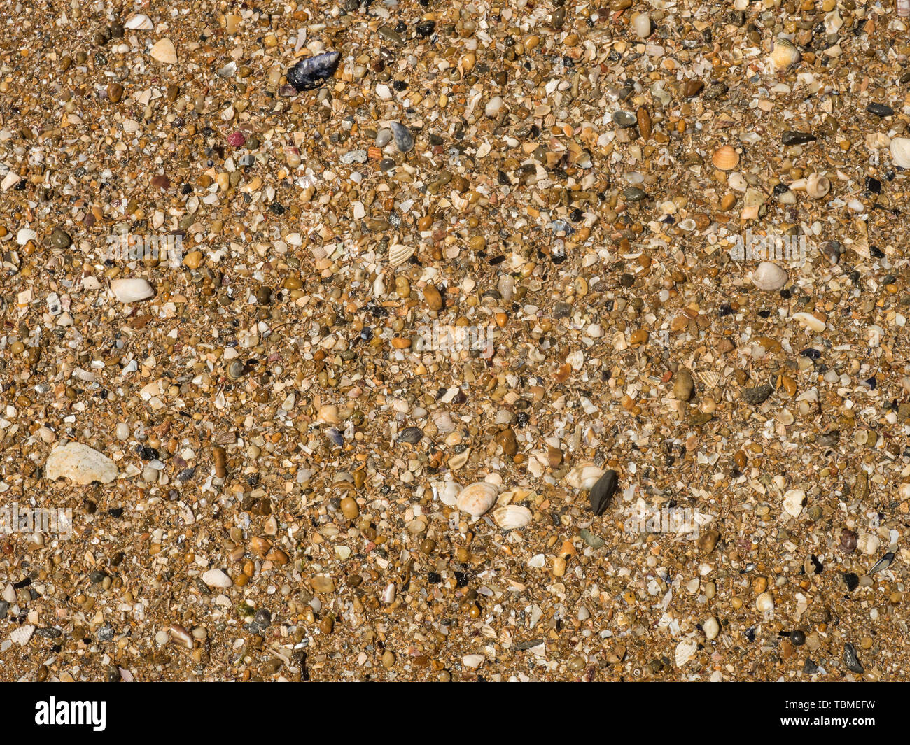 Crushed seashells hi-res stock photography and images - Alamy
