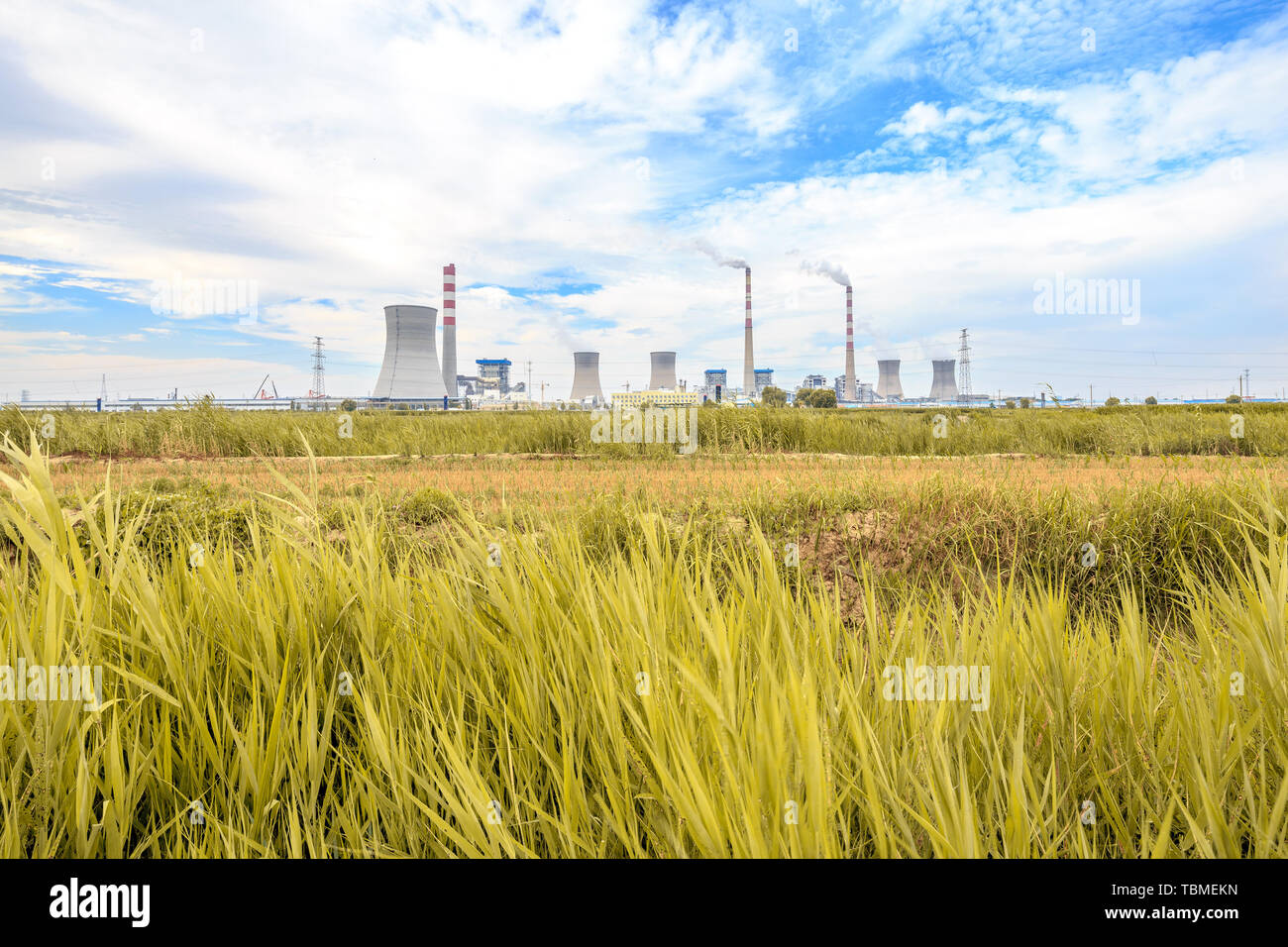 Grass skyline hi-res stock photography and images - Alamy