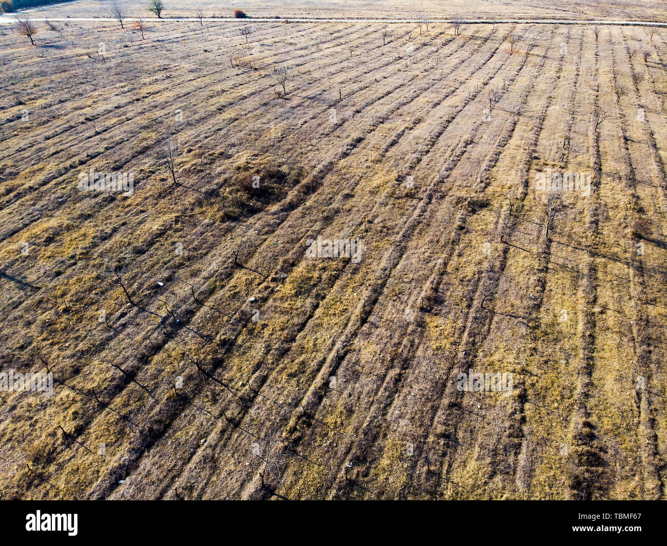 New agriculture hi-res stock photography and images - Alamy
