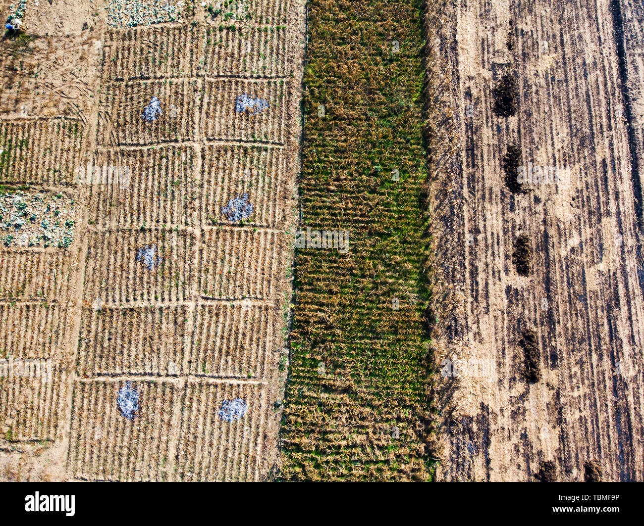 Agriculture season hi-res stock photography and images - Alamy