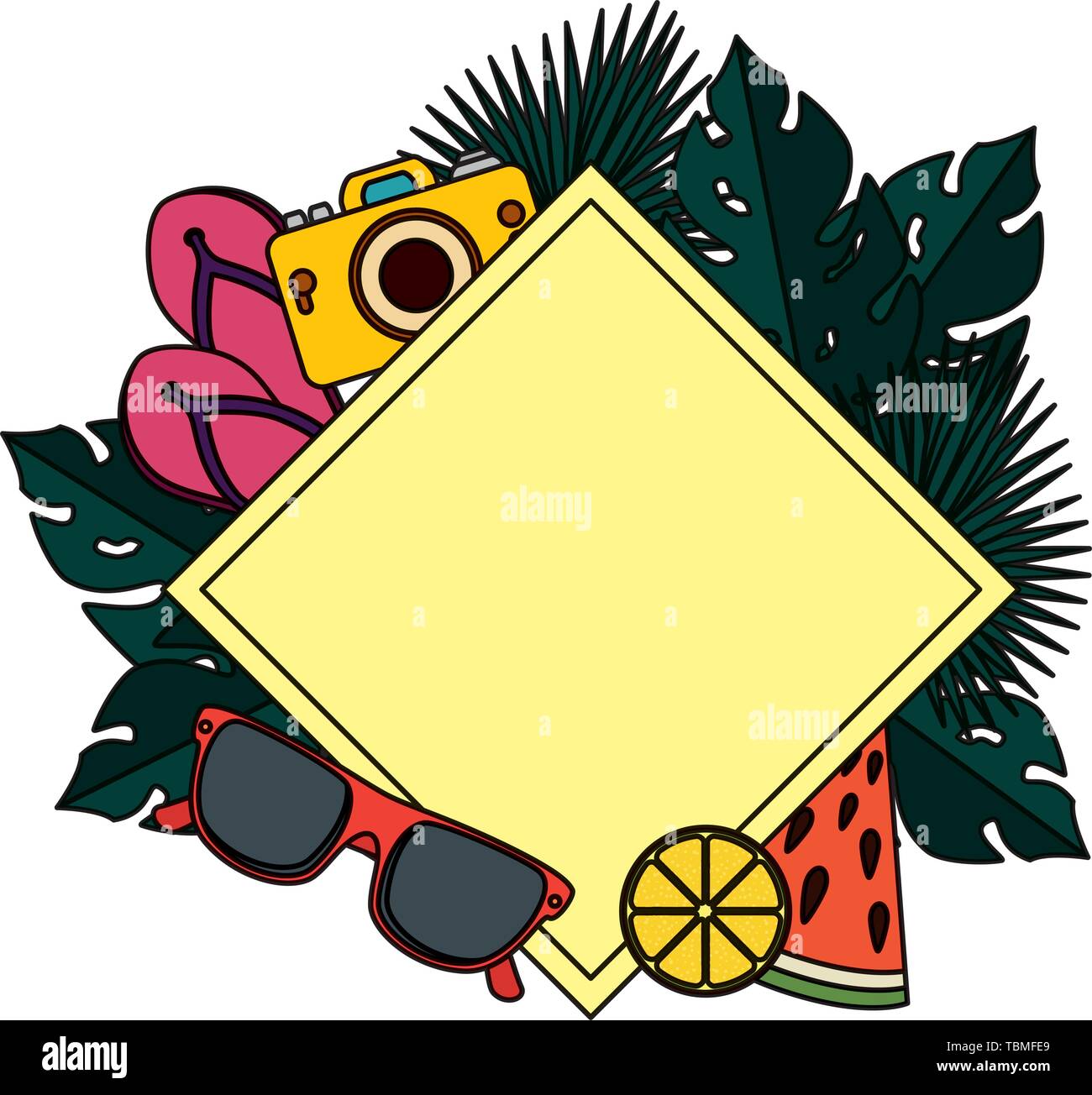 summer frame with camera and fruits Stock Vector Image & Art - Alamy