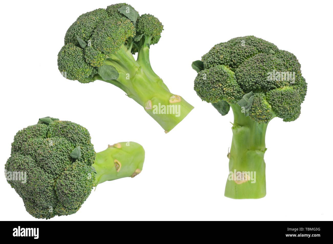 Broccoli collection isolated on white background Stock Photo - Alamy