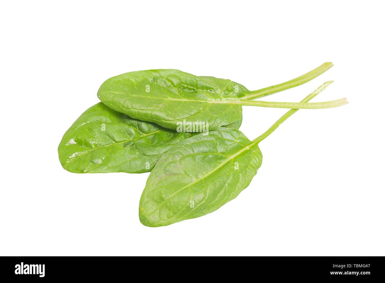 fresh spinach leaves isolated on white background Raw food Stock Photo ...