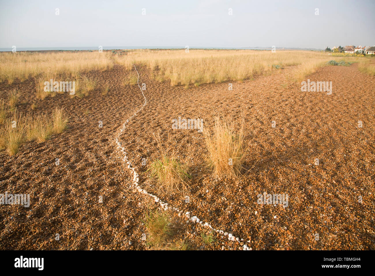 Line of white shells crossing beach to the sea coastal hamlet of ...