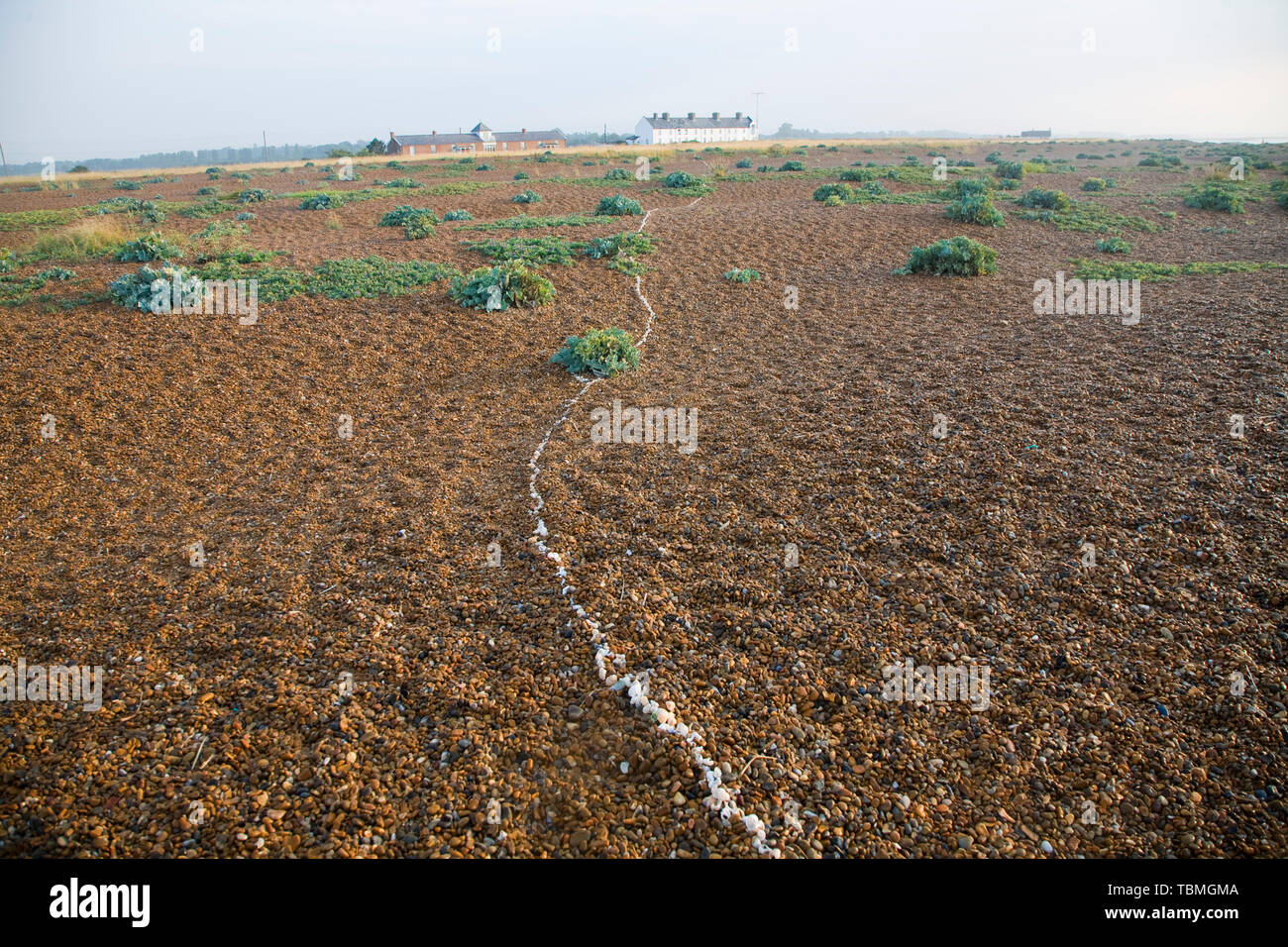 Line of white shells crossing beach to houses at the coastal hamlet of ...