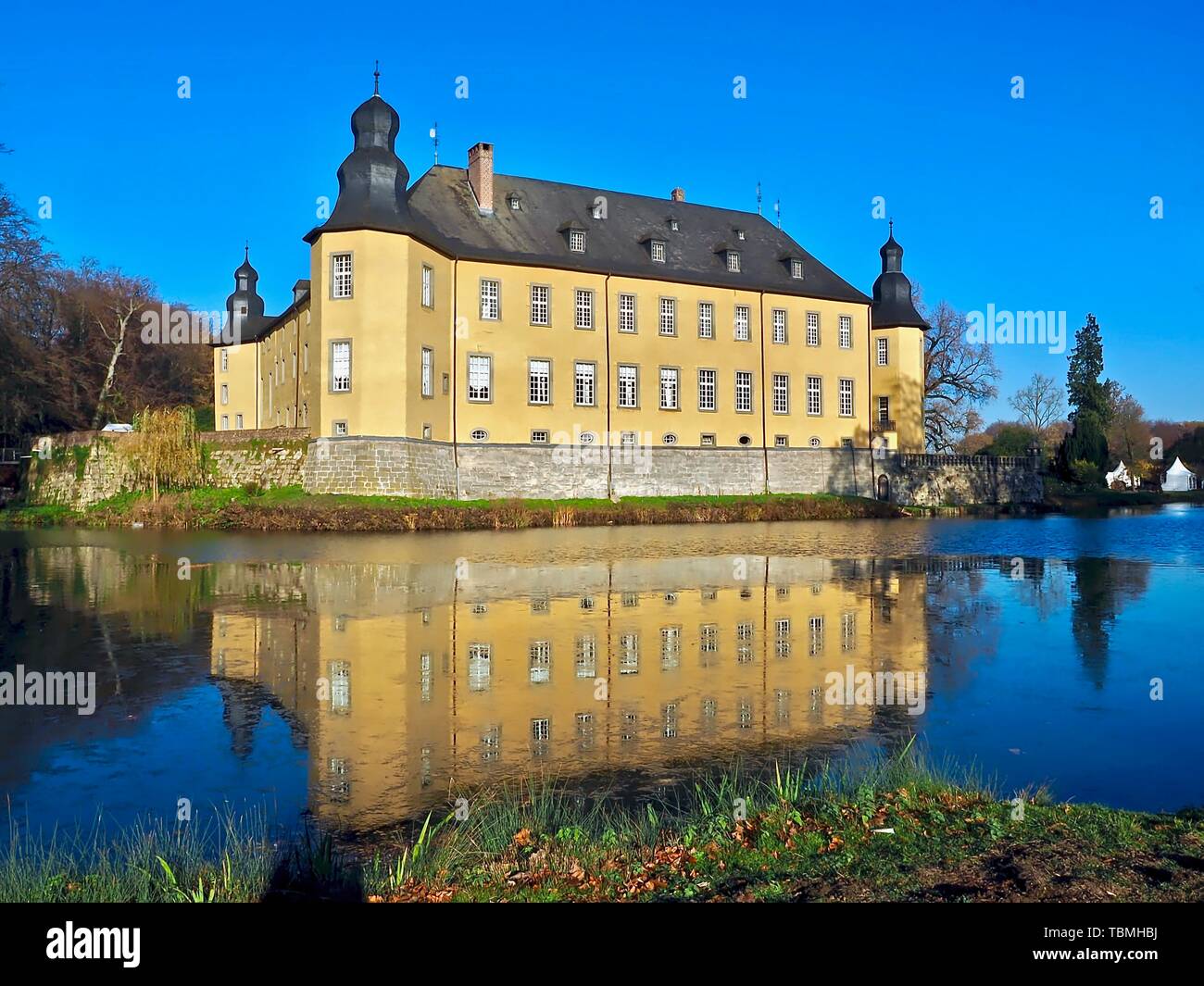 German catle park hi-res stock photography and images - Alamy