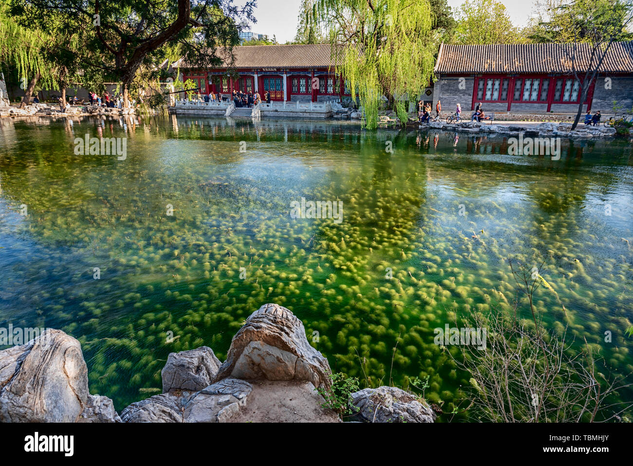 Enter the west gate of Qinghua Garden, from the Qing Pavilion Stock ...