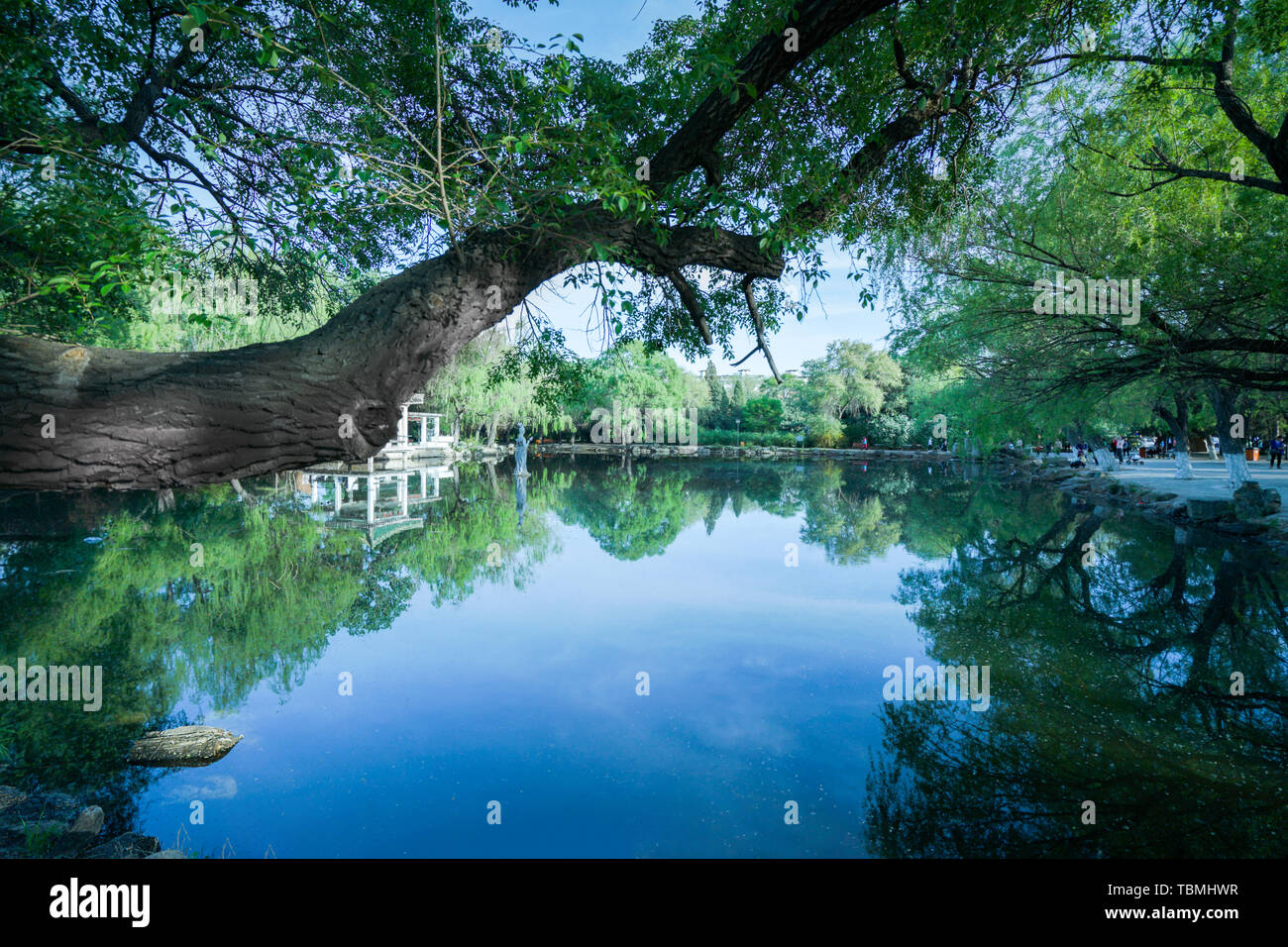 Mirror and Silence Stock Photo - Alamy