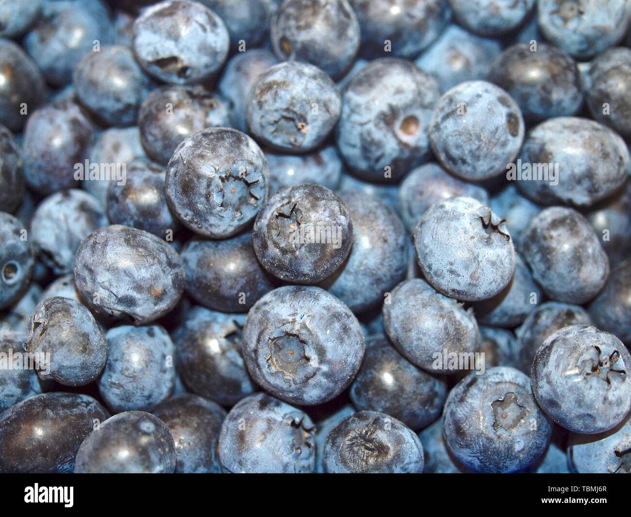 Blueberries on a pile at a food market Stock Photo - Alamy