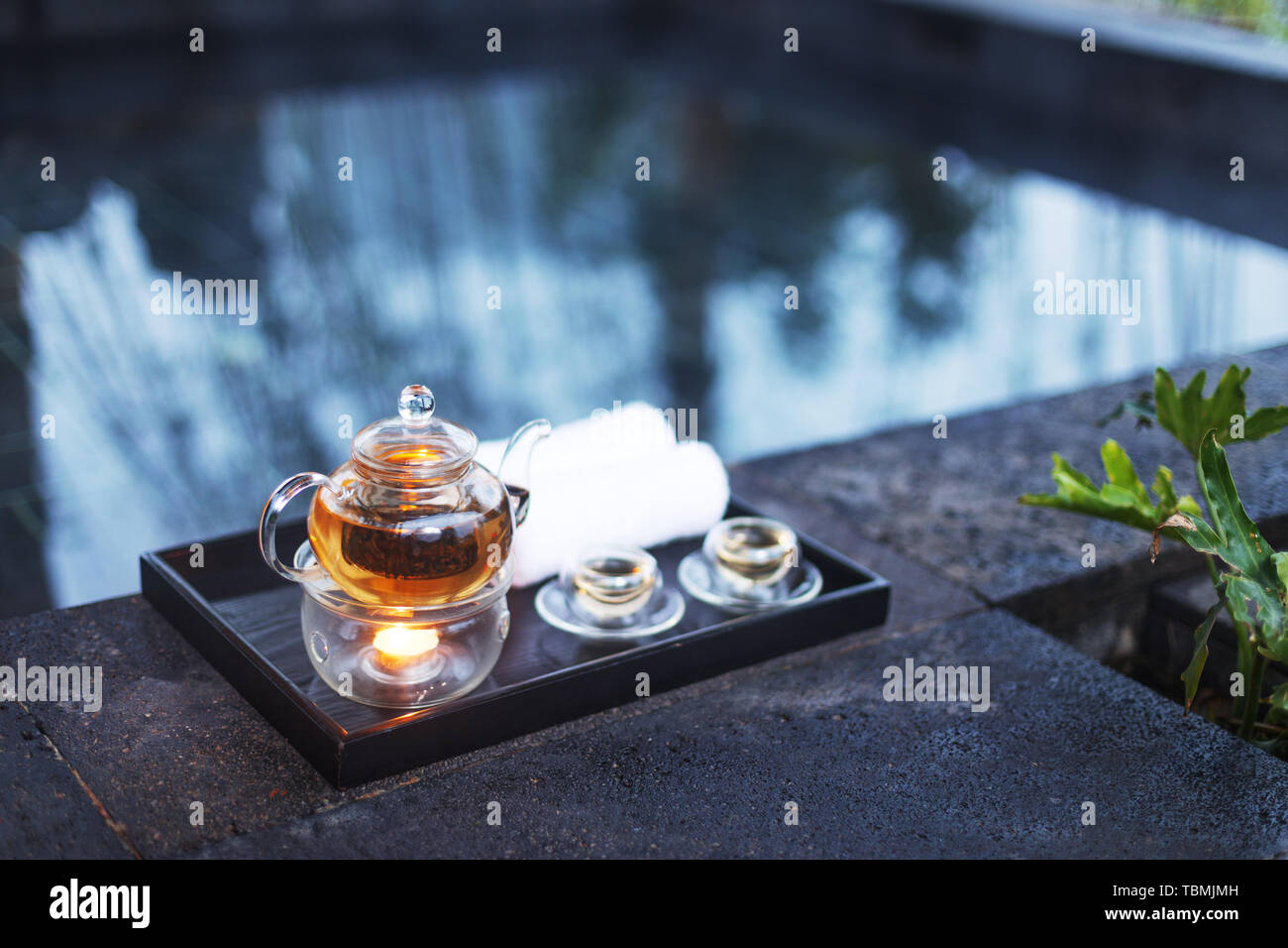 Indoor container pond hi-res stock photography and images - Alamy