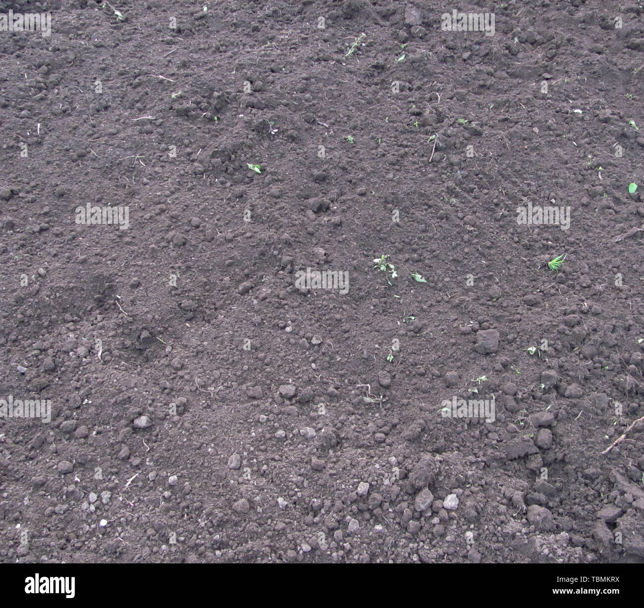 gray dry soil texture background Stock Photo - Alamy
