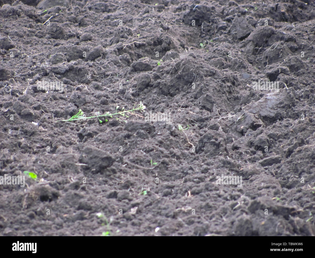 gray dry soil texture background Stock Photo - Alamy