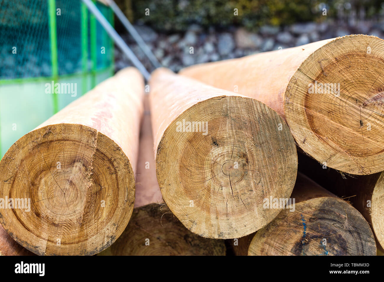 Log of log Stock Photo - Alamy