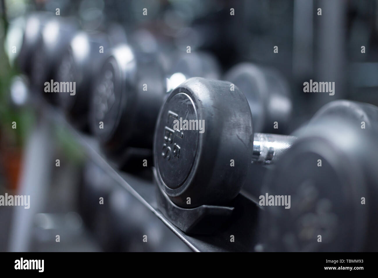 dumbbells in modern gym Stock Photo - Alamy