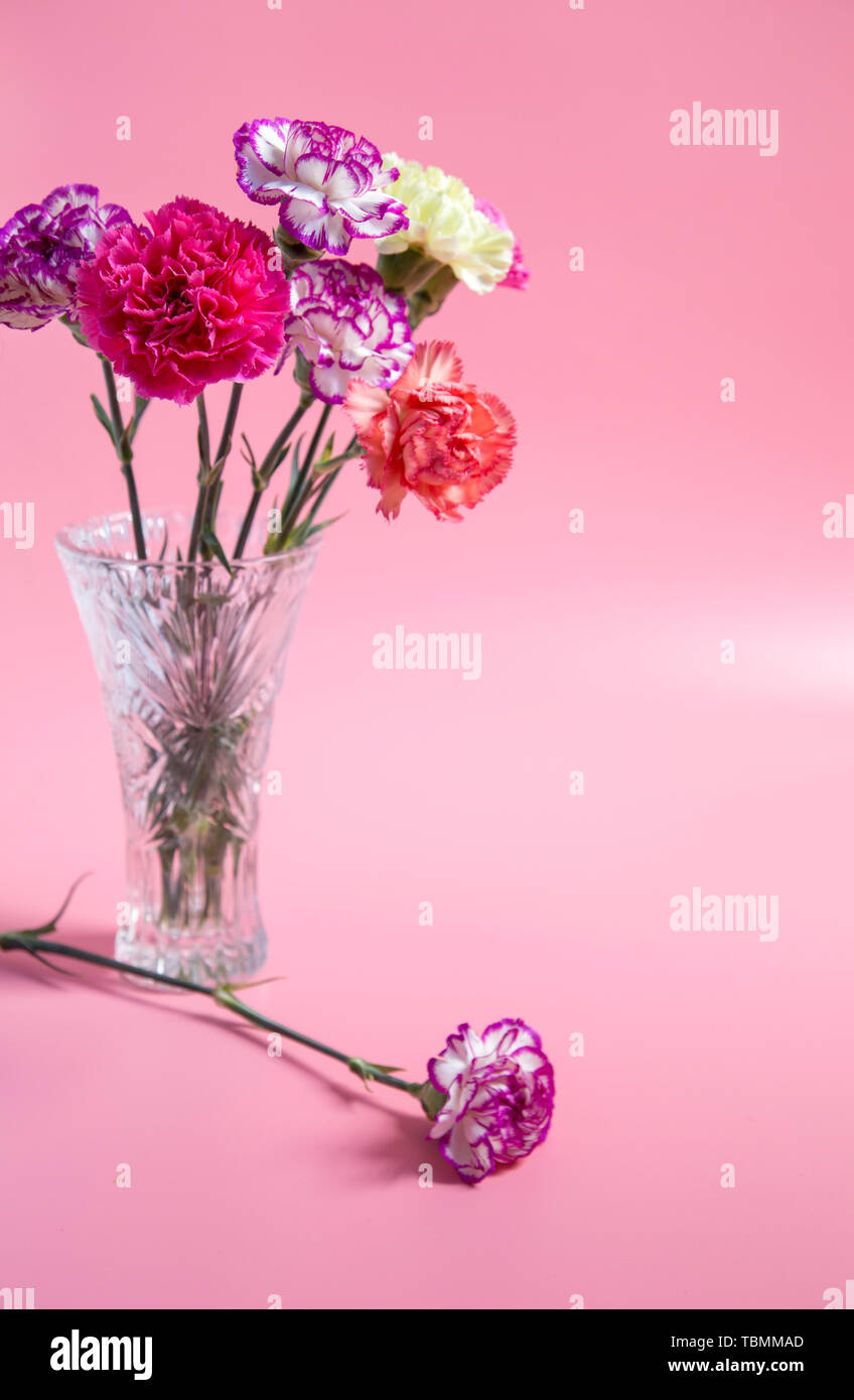 Carnation Moon and Mother's Day Stock Photo - Alamy