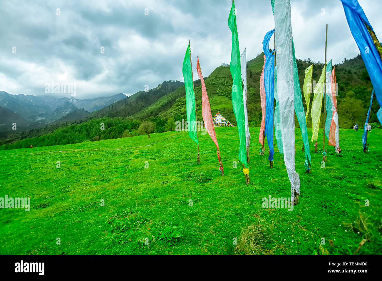 Dry grass mats hi-res stock photography and images - Alamy