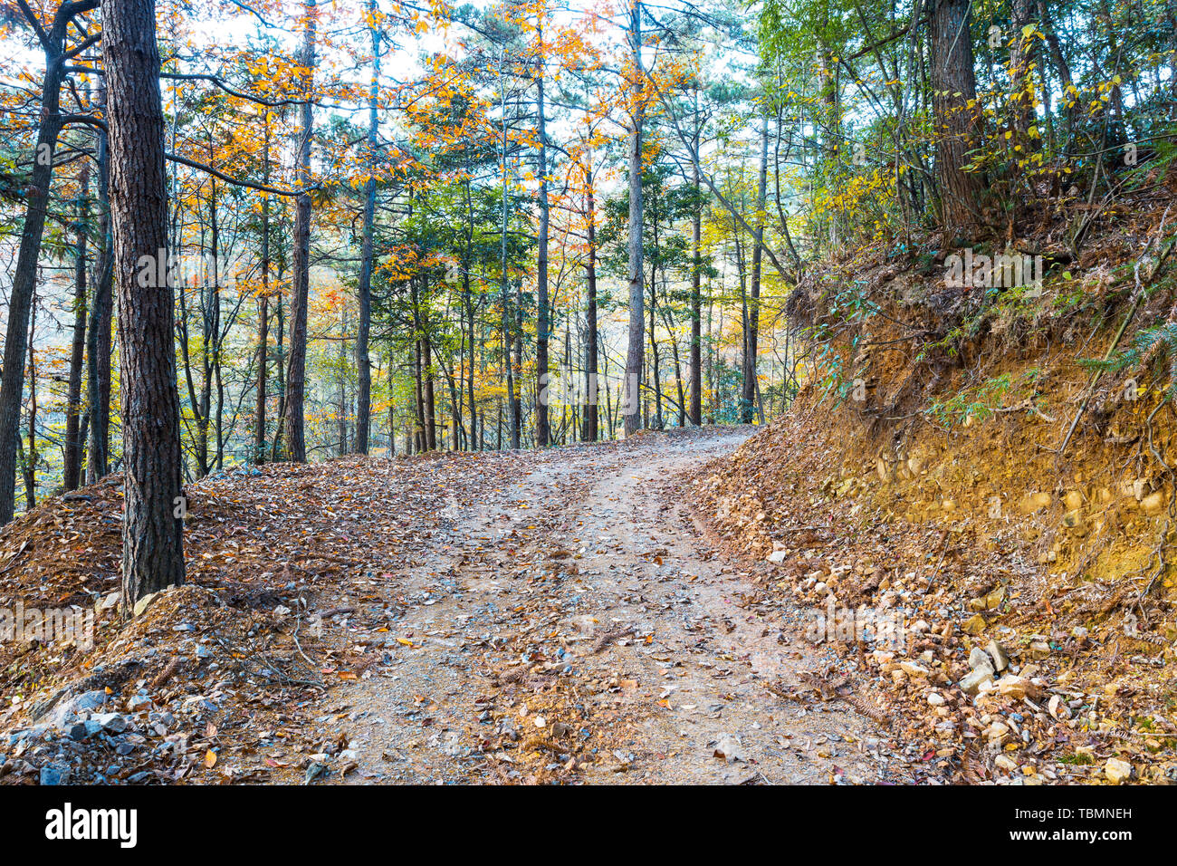 Pathway in the downhill Stock Photo - Alamy