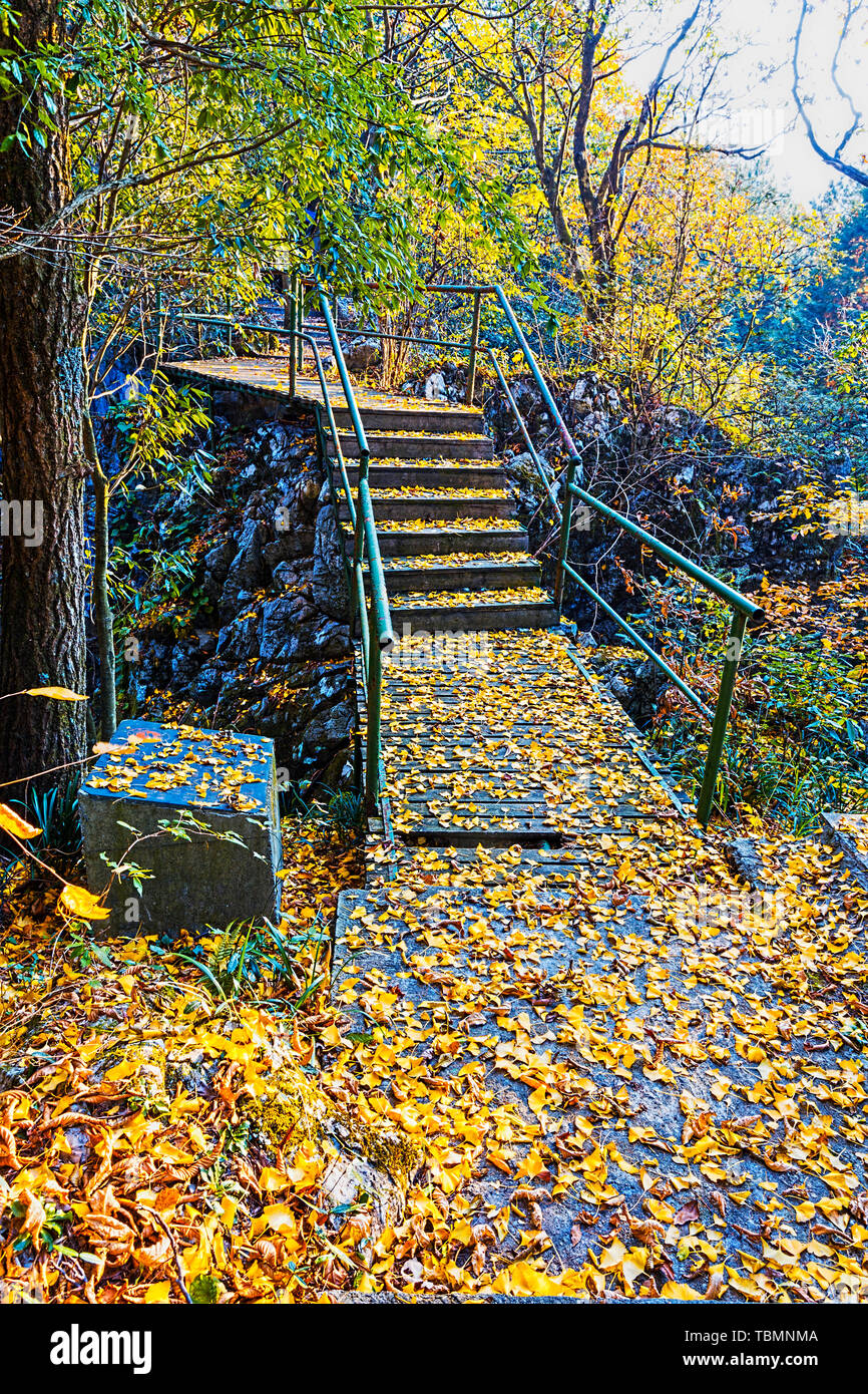 Pathway in the downhill Stock Photo - Alamy