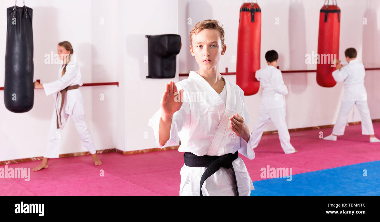 Preteen diligent boy practicing karate movements with male trainer ...