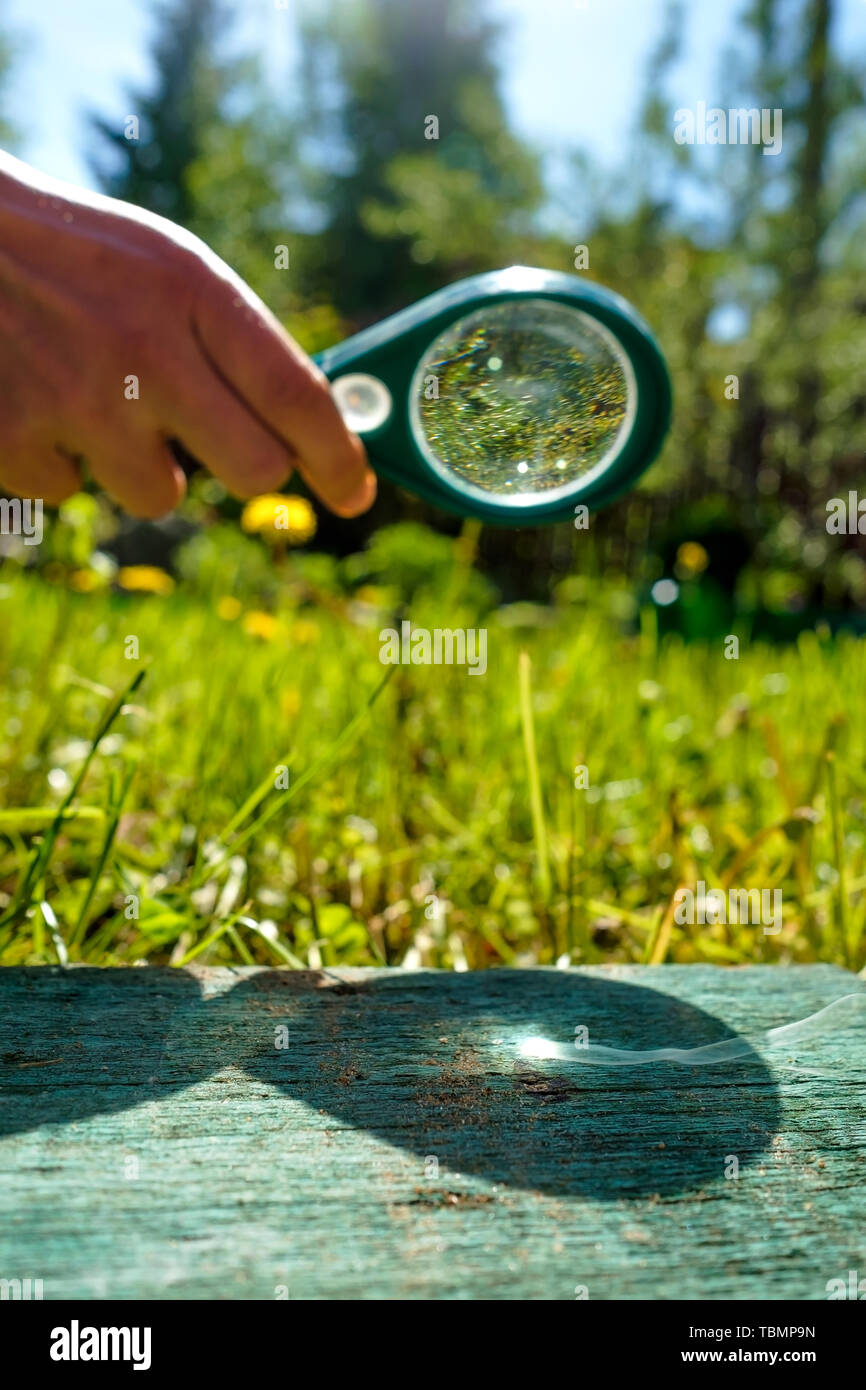 Man holding a magnifying glass making fire, focused on wood Stock Photo ...