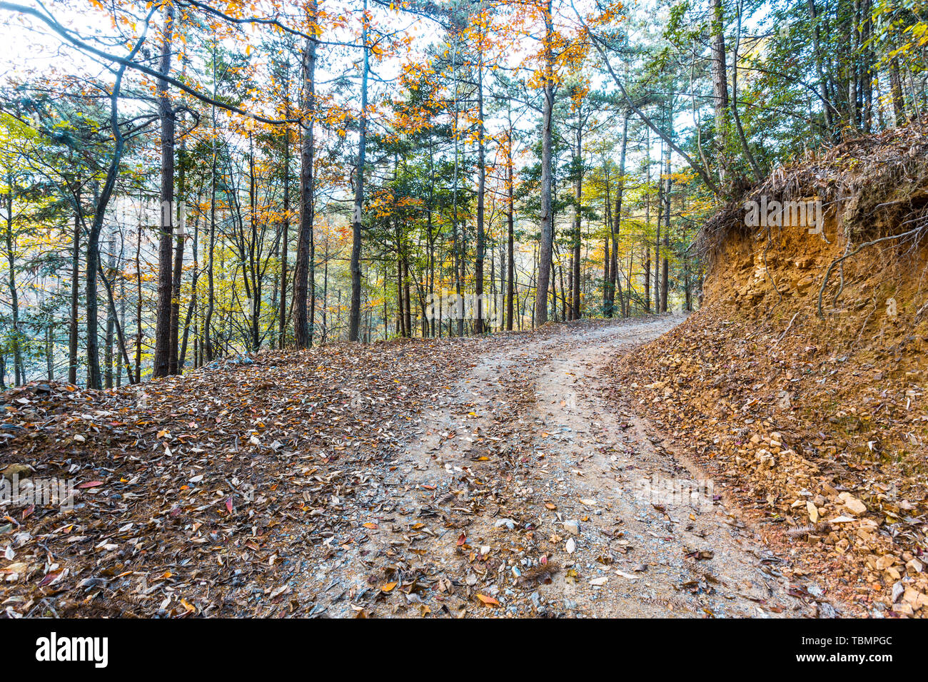 Pathway in the downhill Stock Photo - Alamy