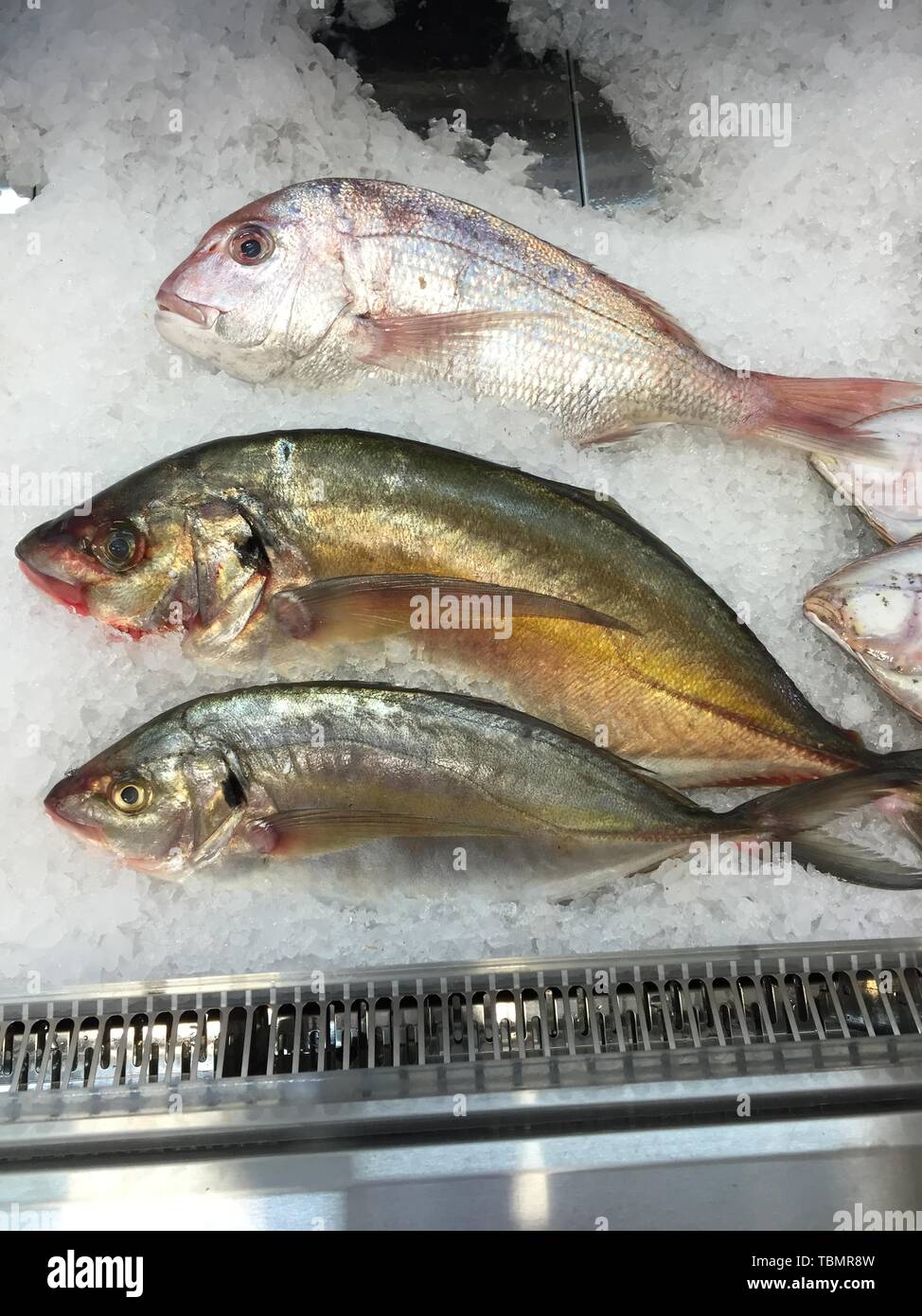 Fish in New Zealand supermarkets Stock Photo - Alamy