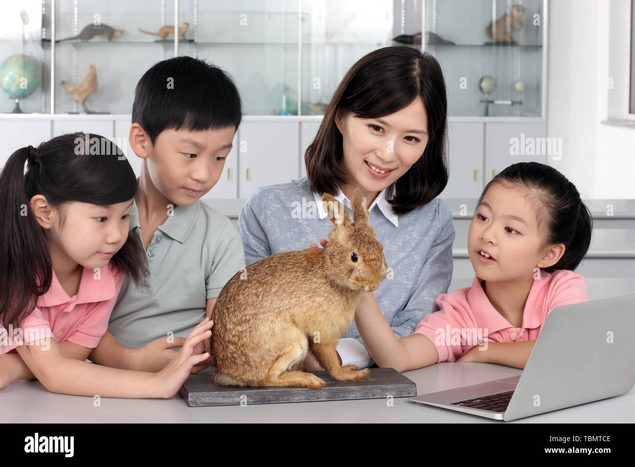 Primary school students take biology class Stock Photo - Alamy
