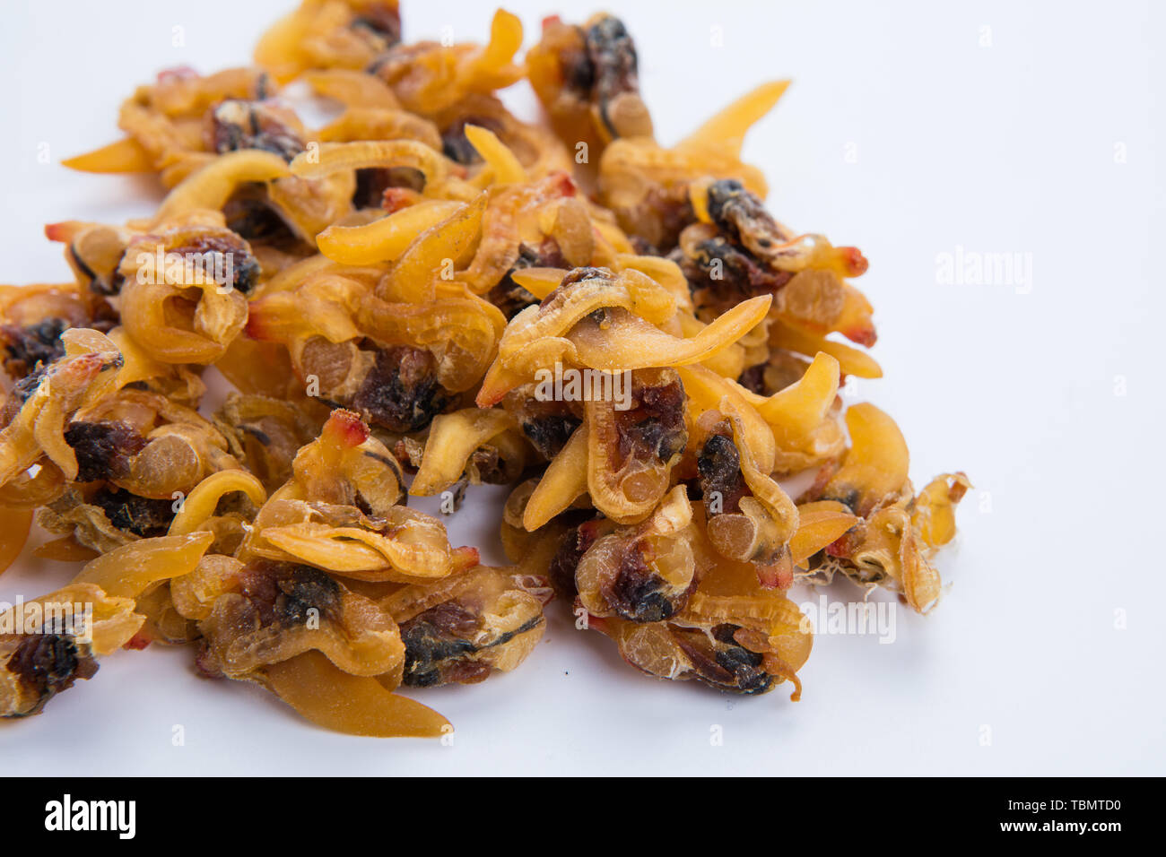 Clams dried clams dry clams hi-res stock photography and images - Alamy