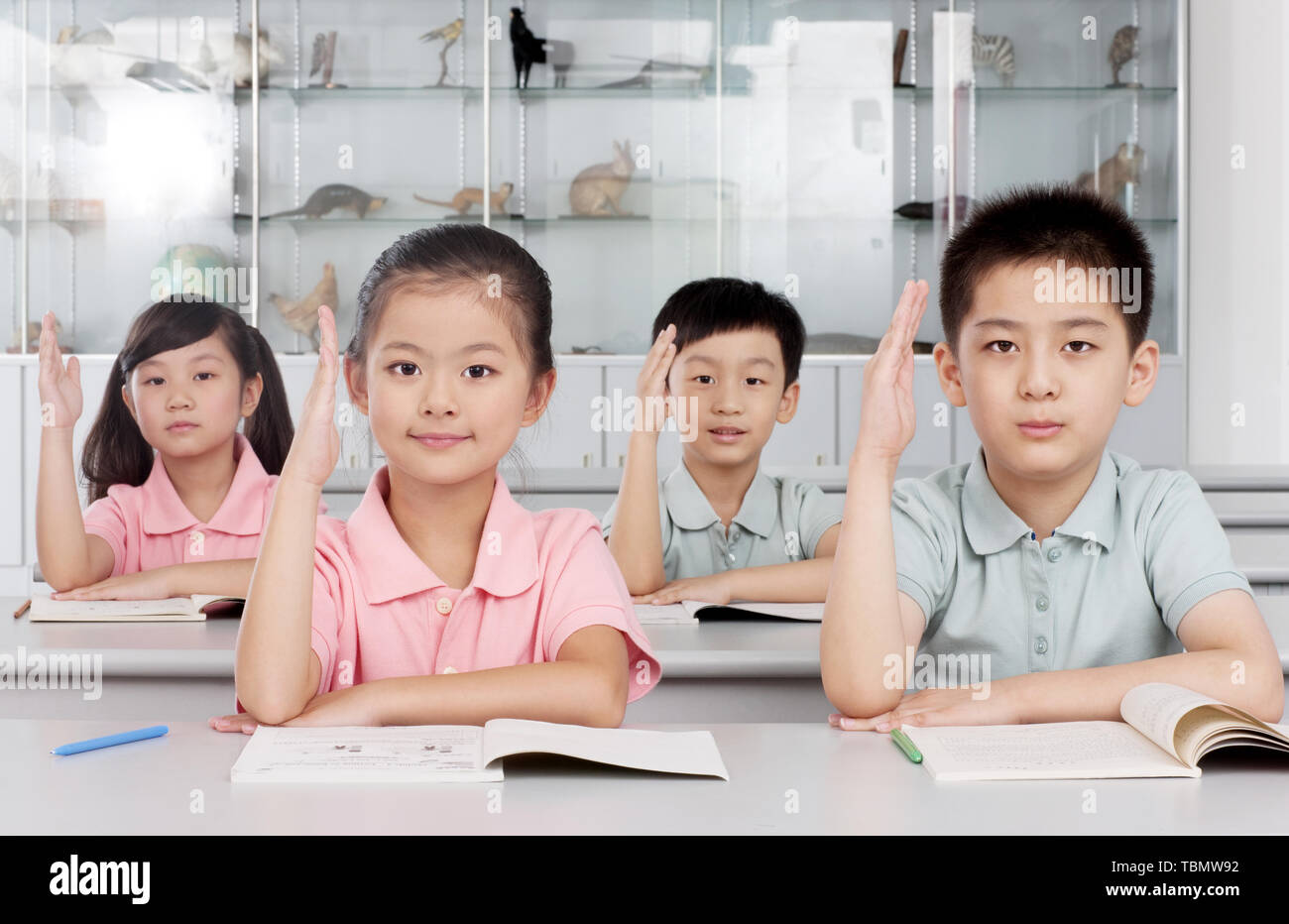 The life of primary school students at school Stock Photo - Alamy