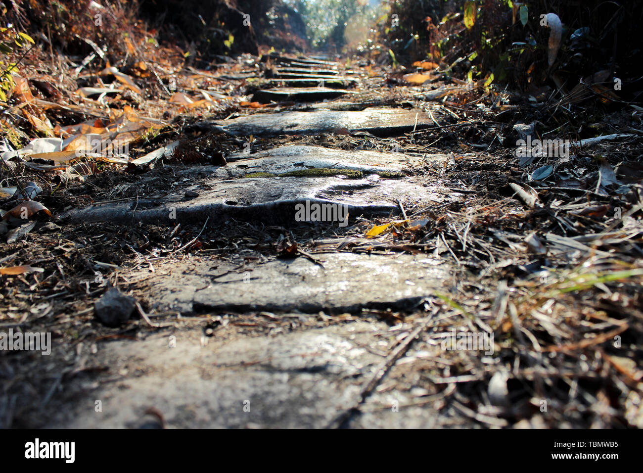Ancient official way Stock Photo - Alamy