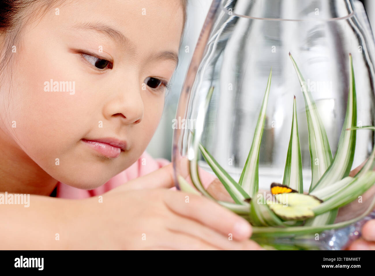 Primary school students take biology class Stock Photo - Alamy
