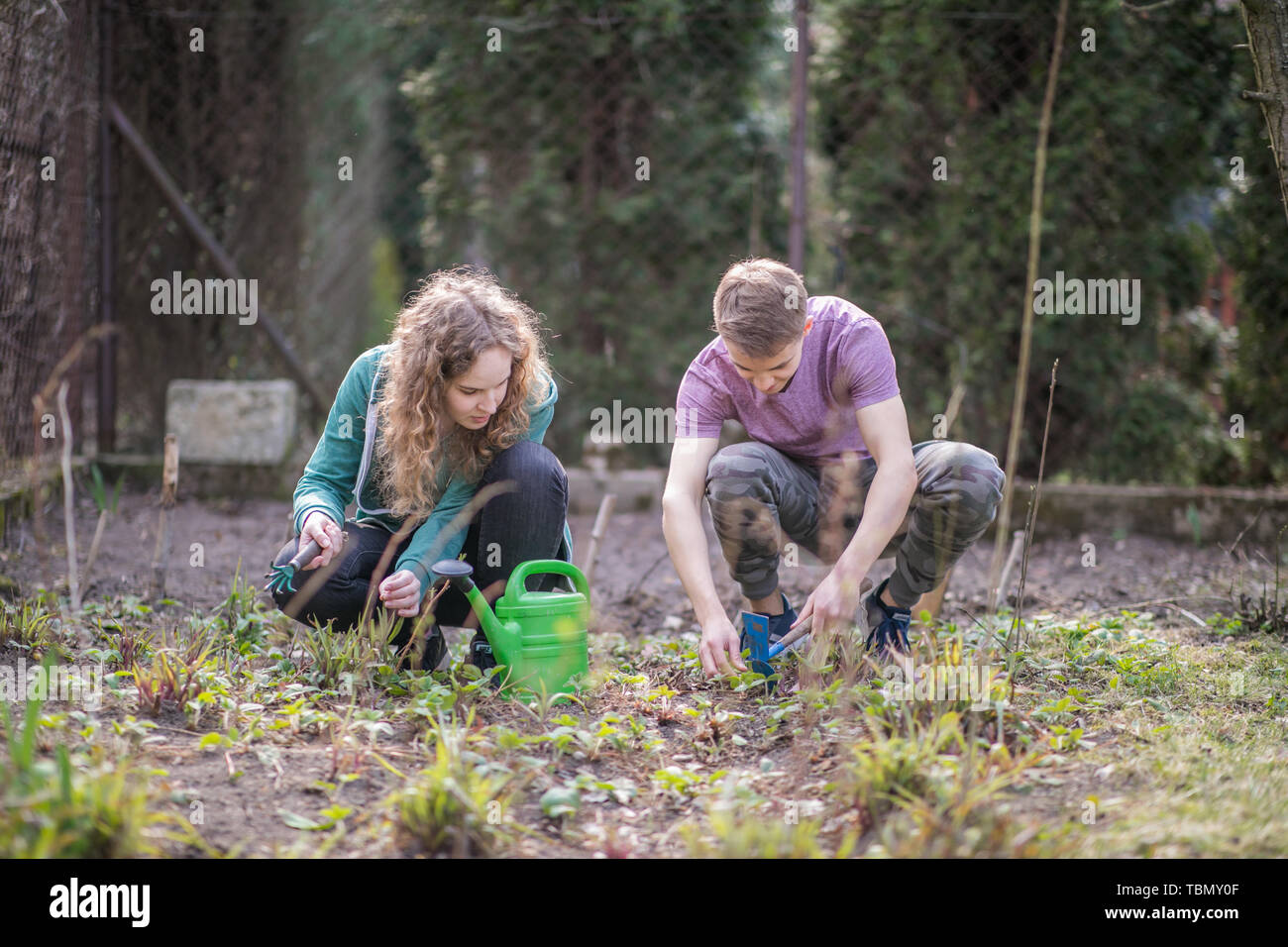 Two young people working during spring time in the garden Stock Photo ...