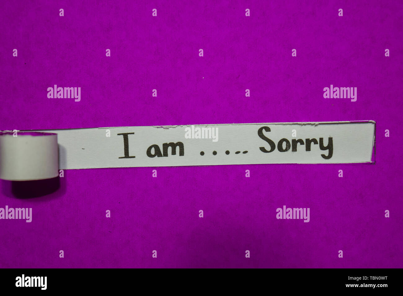I am Sorry, Inspiration, Motivation and business concept on purple torn ...