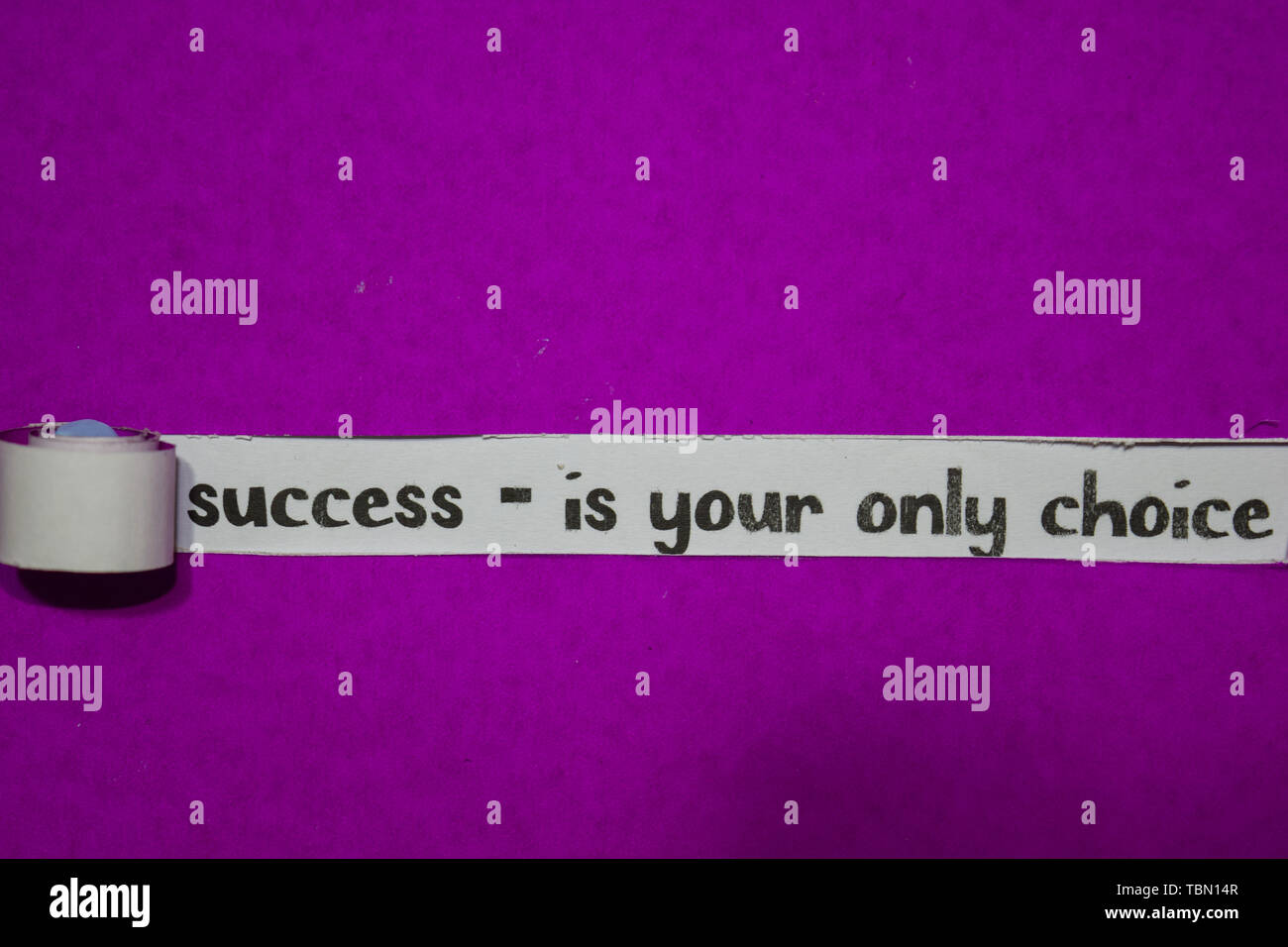 Success - is Your only choice, Inspiration, Motivation and business ...