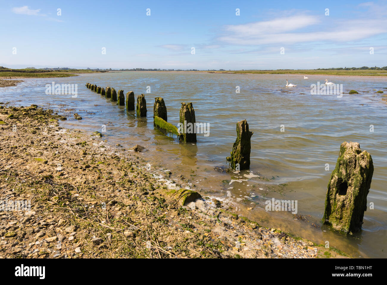 Pagham inlet hi-res stock photography and images - Alamy