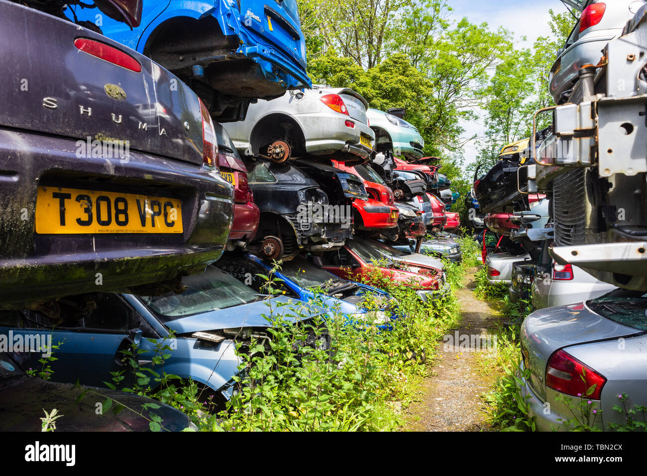 Open car hoods hi-res stock photography and images - Alamy