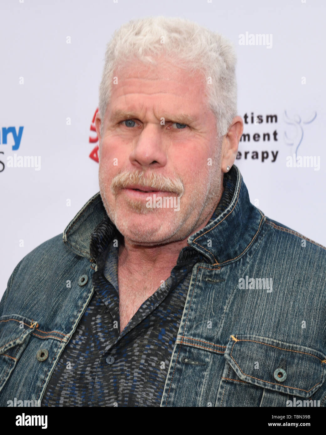 June 1, 2019 - Ron Pearlman attends the 7th Annual Ed Asner & Friends ...