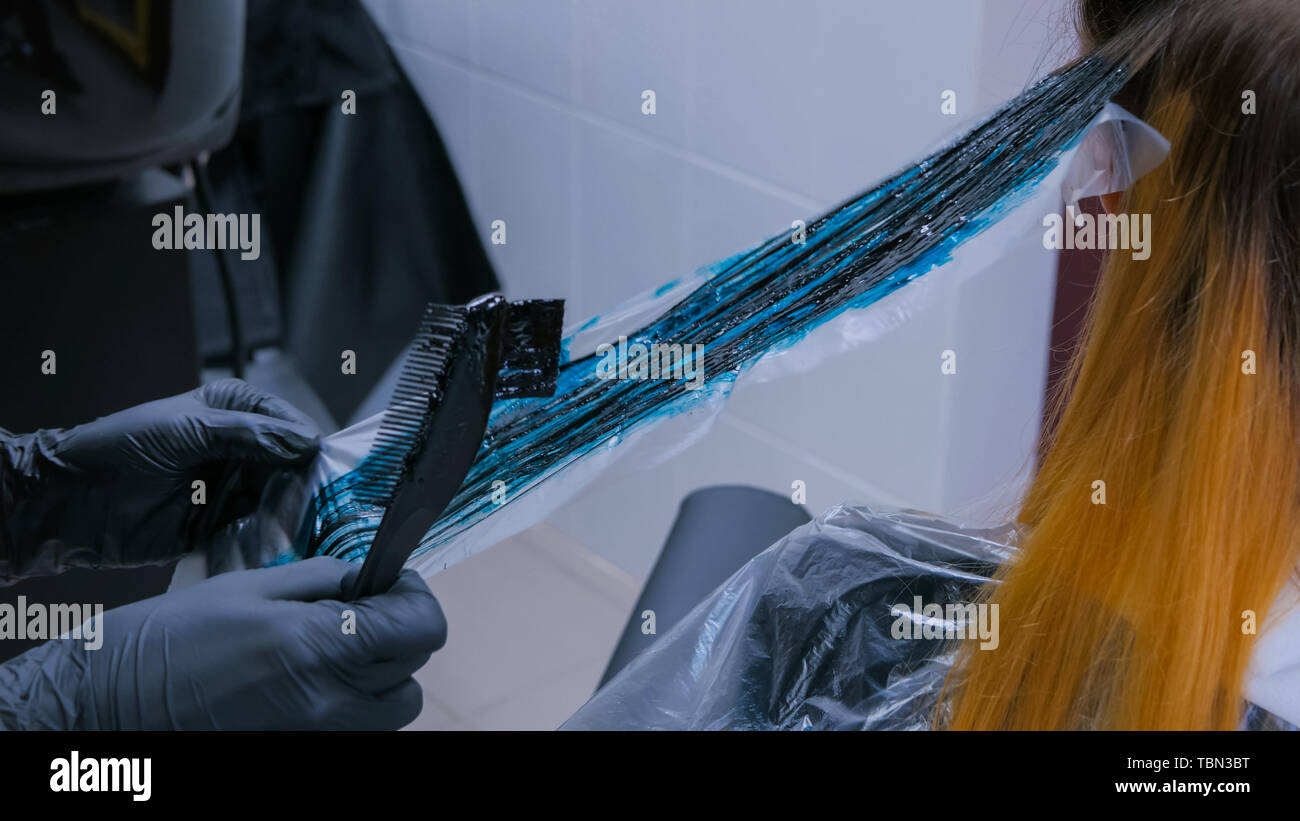 Professional hairdresser coloring hair of woman client at studio Stock ...