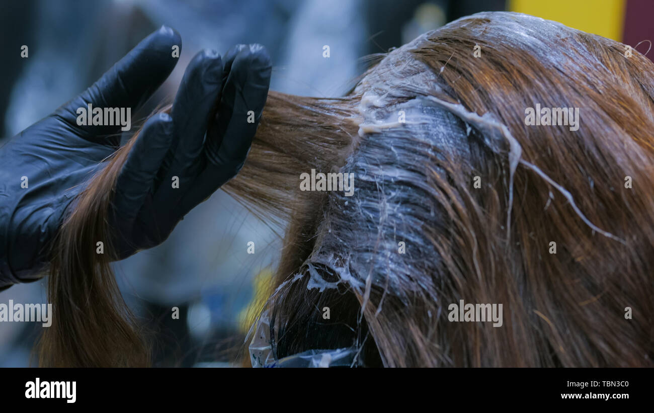 Professional hairdresser coloring hair of woman client at studio Stock ...