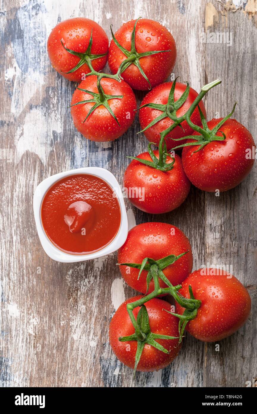 Vertical food banner tomatoes on a branch and tomato sauce or ketchup ...