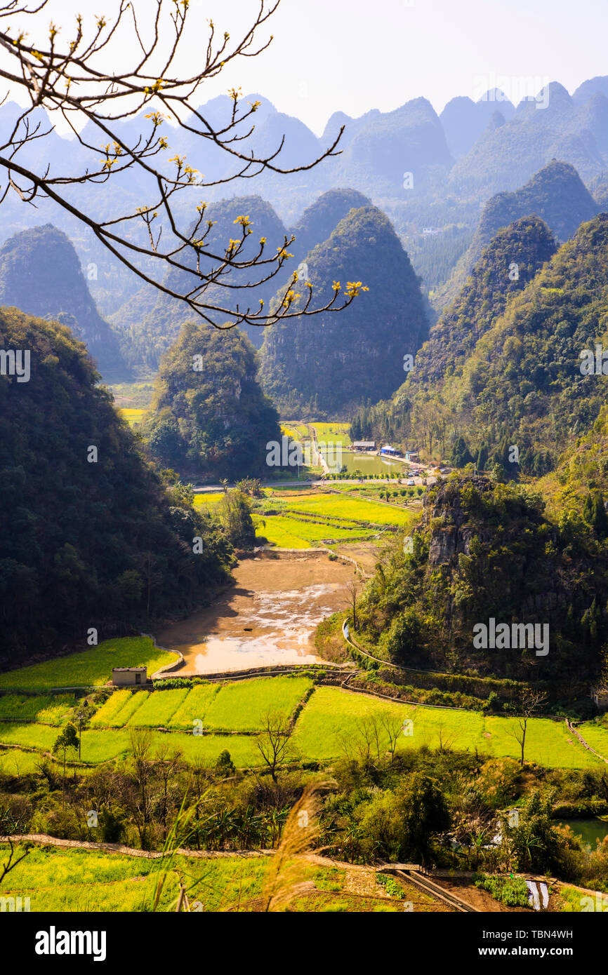 Spring color of Wanfeng forest in Xingyi, Guizhou Stock Photo - Alamy